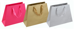 Beautiful Pyramid Paper Bags